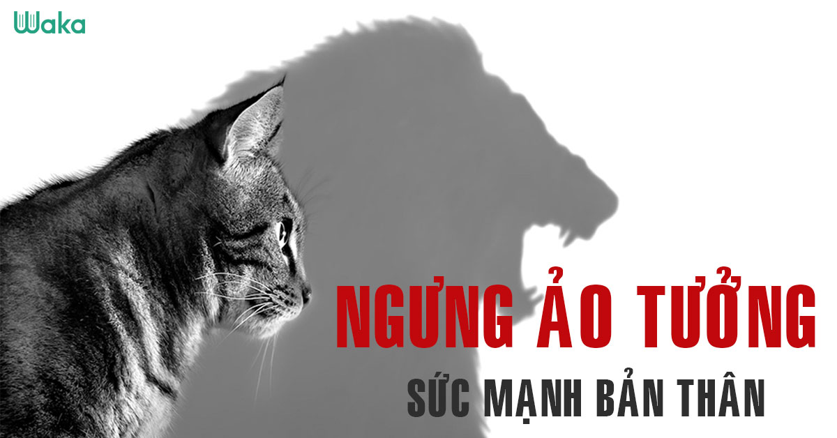 Ảo tưởng kiến thức - Steven Sloman - Thư viện ebook Waka